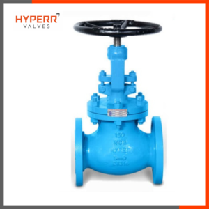 Cast Steel Globe Valve - Hyperr Valves Pvt Ltd